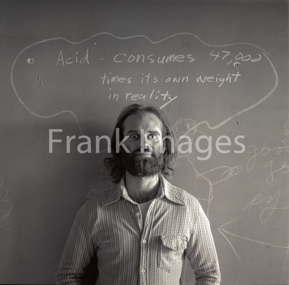 tiger – Frank Images